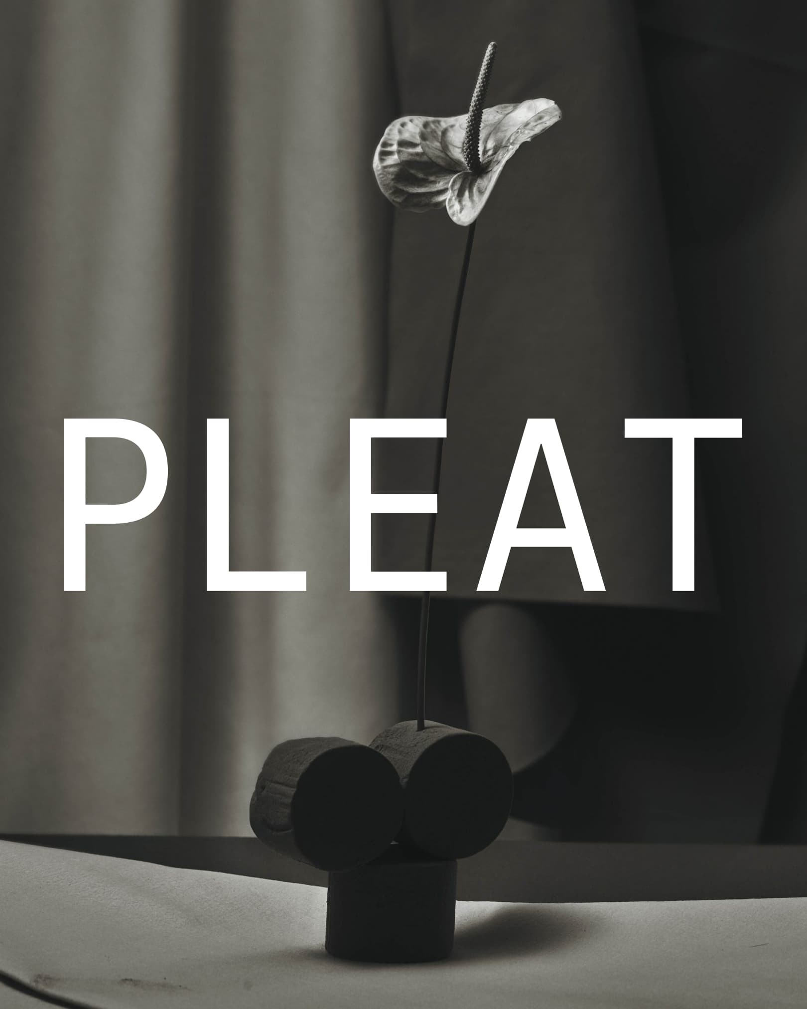 All Purpose - PLEAT - Branding and website for today's visual industry