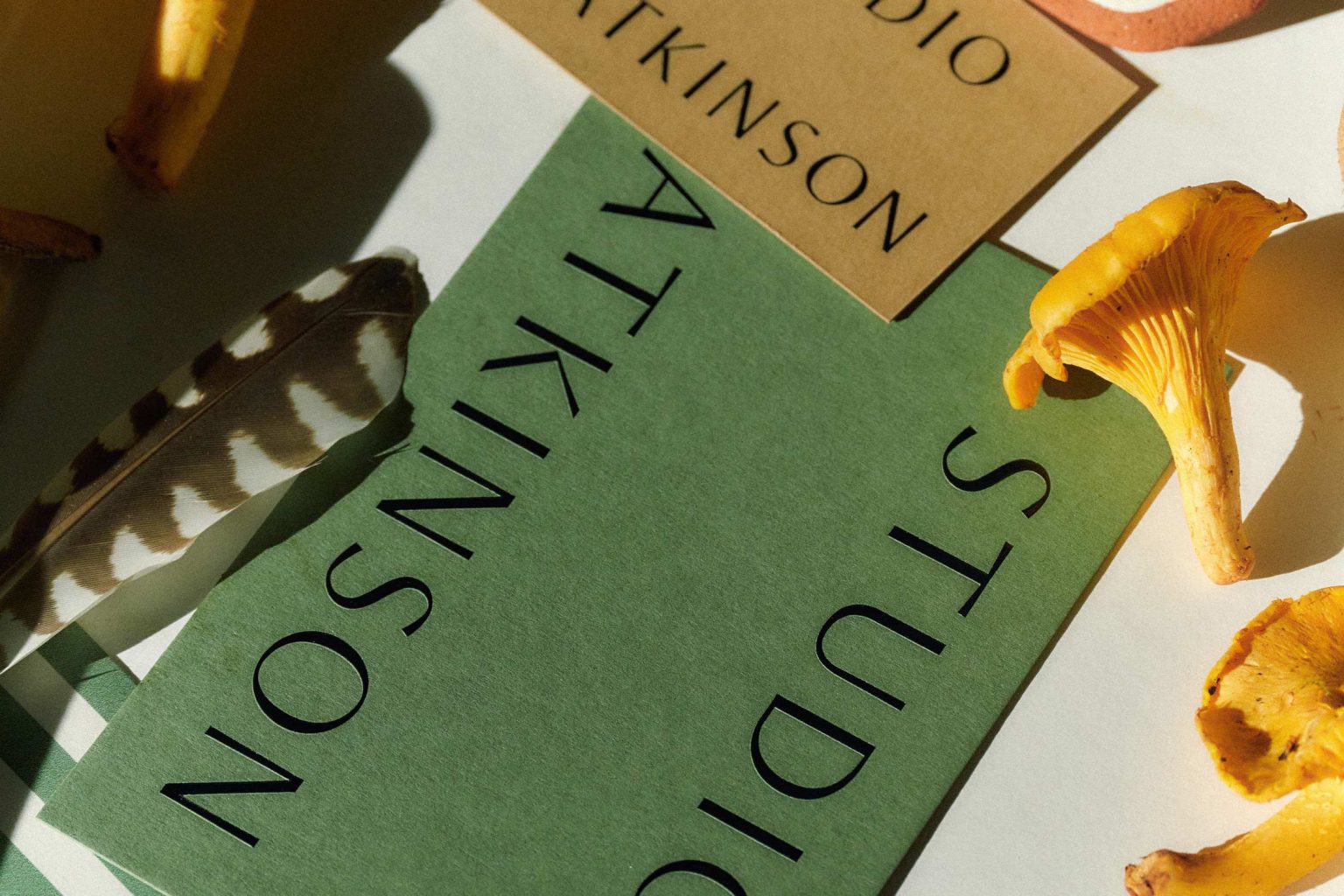 All Purpose - STUDIO ATKINSON - AllPurpose