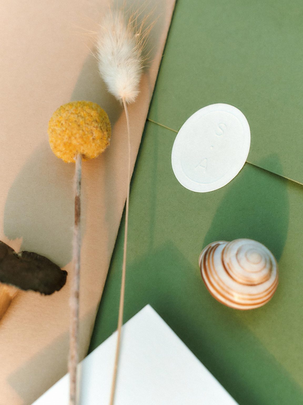 All Purpose - STUDIO ATKINSON - AllPurpose