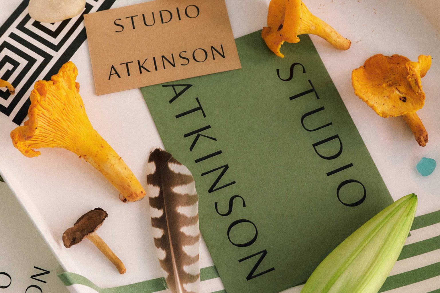 All Purpose - STUDIO ATKINSON - AllPurpose