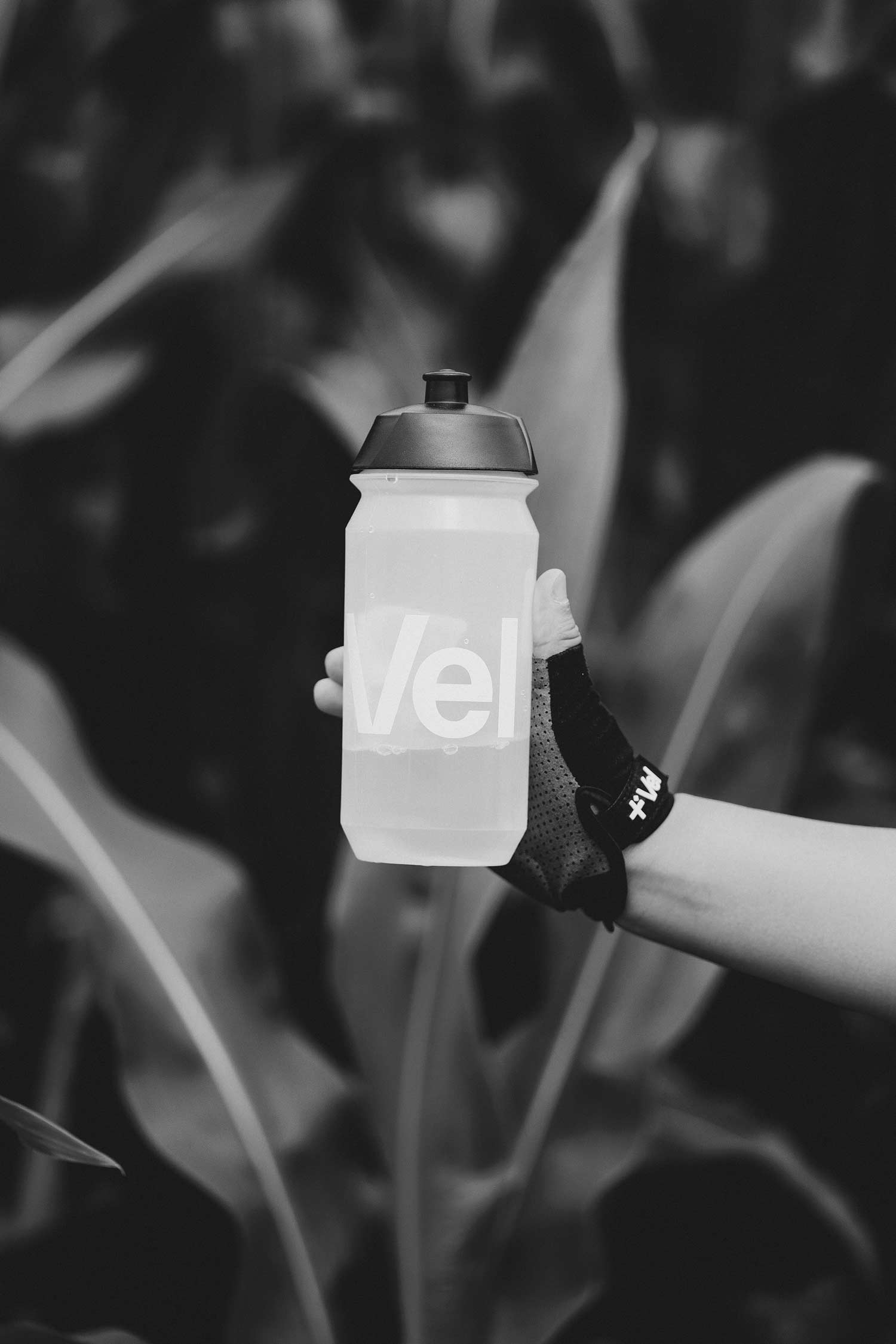 All Purpose - VEL - AllPurpose